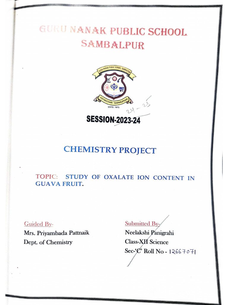 Chemistry Project | PDF