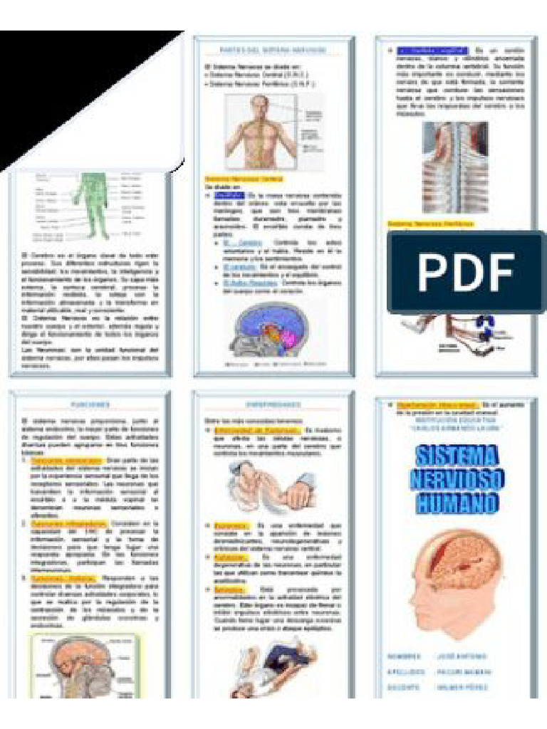 PDFReader_20240918_1102 | PDF