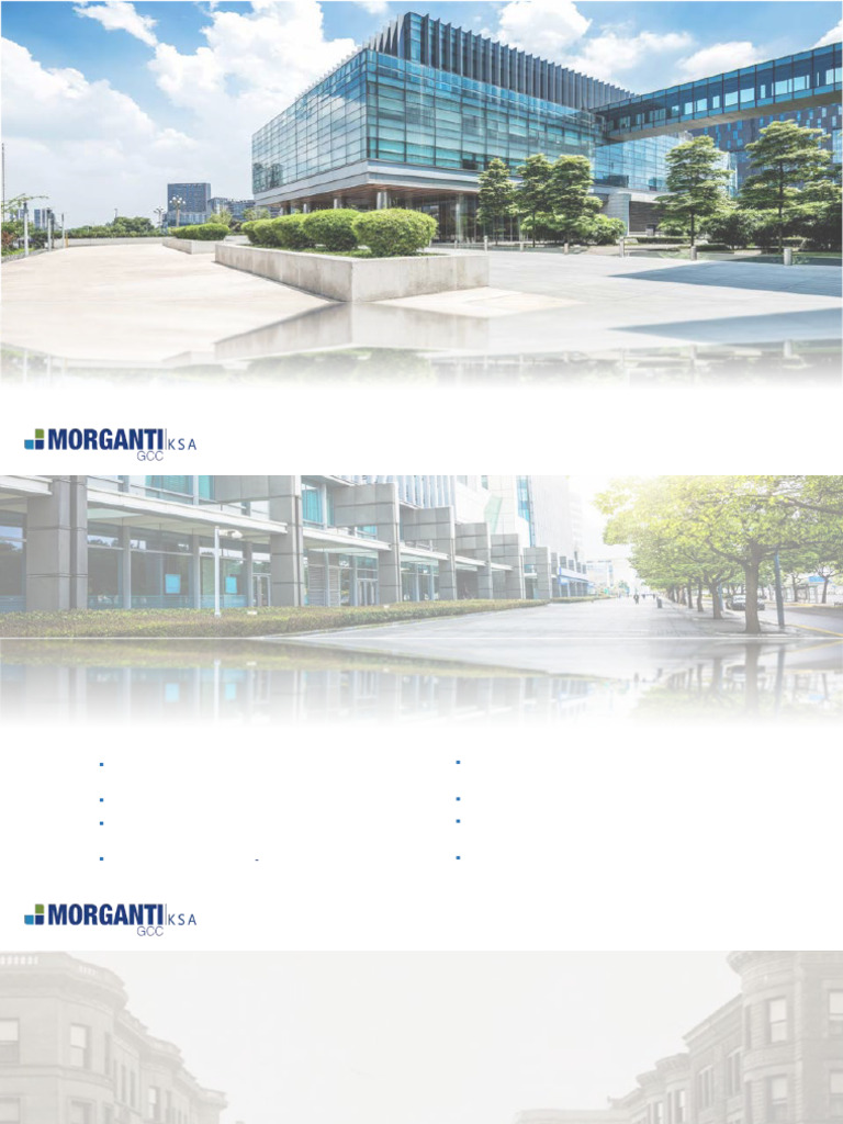 Morganti Corporate Profile | PDF