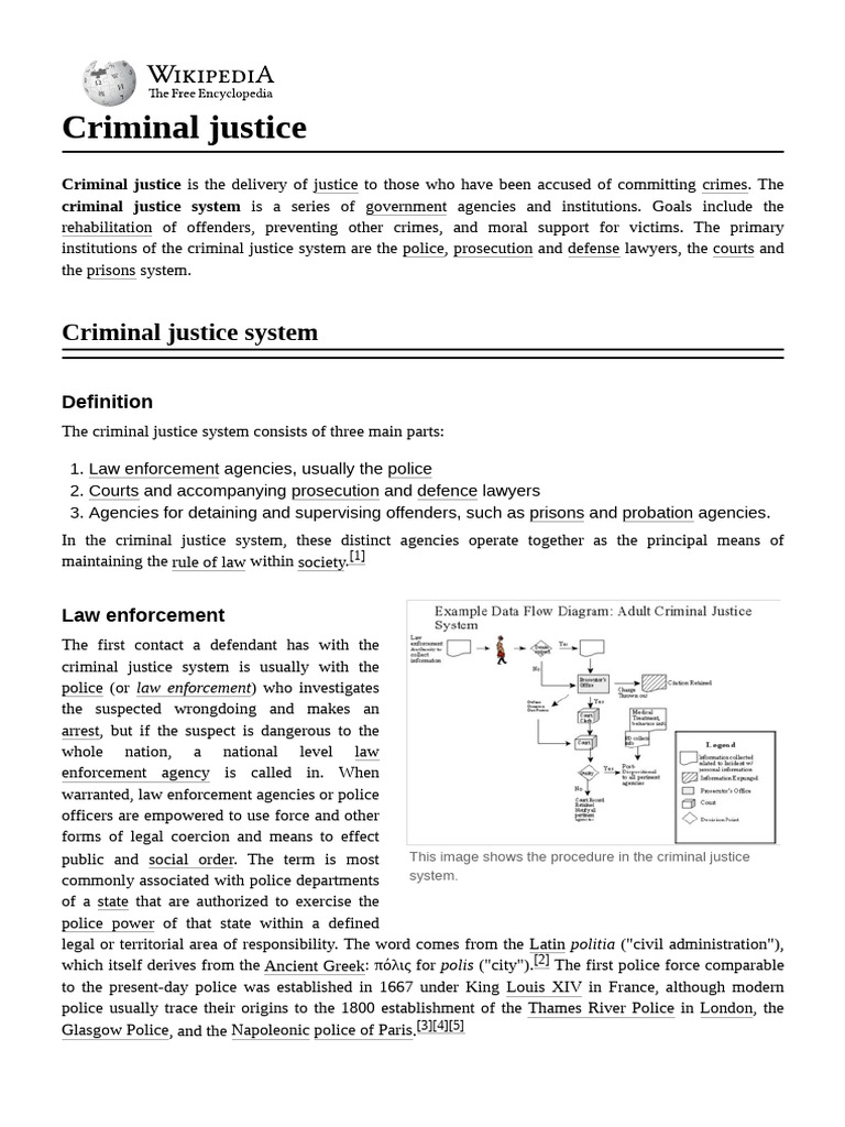 Criminal Justice | PDF