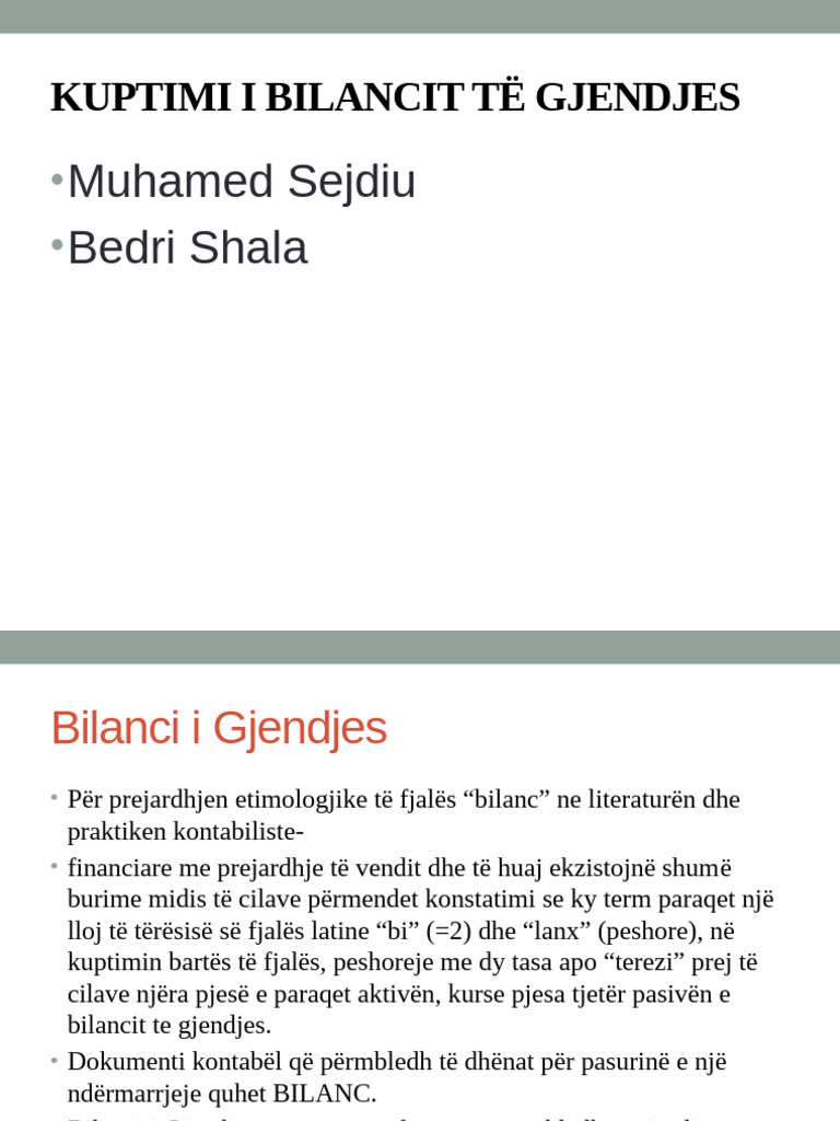 Kuptimi I Bilancit Të Gjendjes | PDF