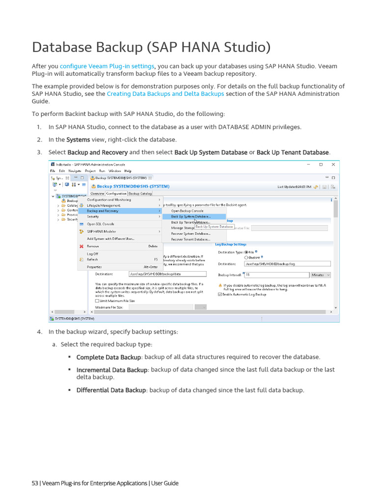 Hana DB Backup | PDF