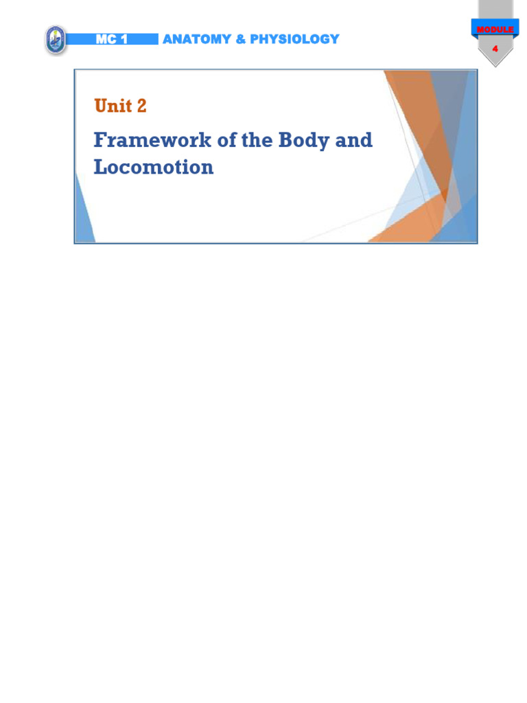 MC 1 - Module 4 | PDF