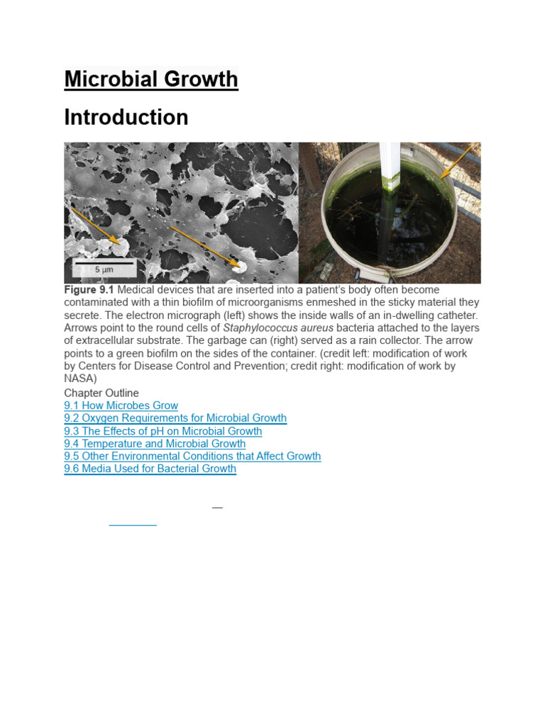 E-Learning Micropara Midterms | PDF