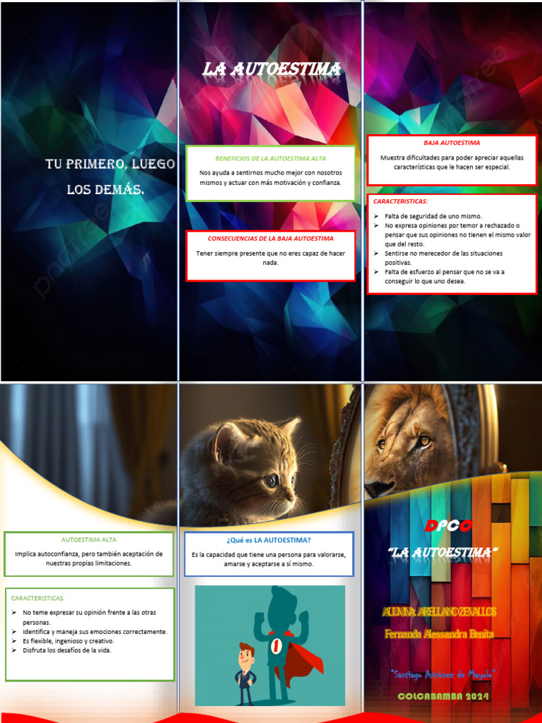 Triptico DPCC-2024 | PDF