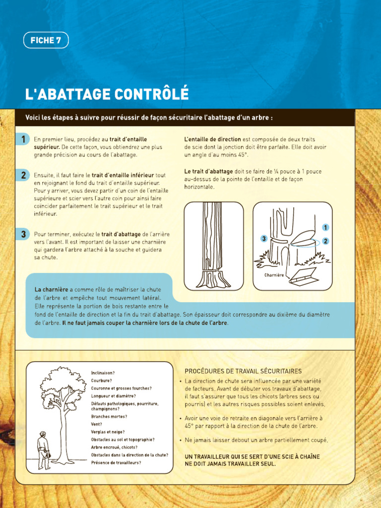 Fiche Abattage Controle | PDF
