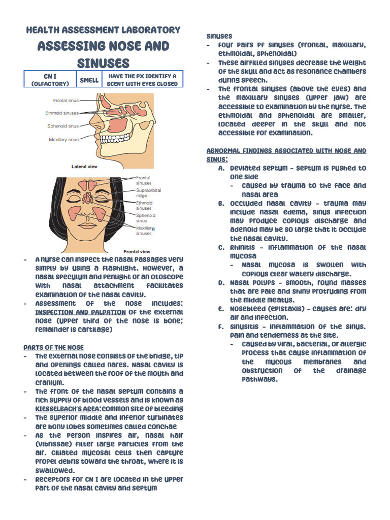 Health Assessment Laboratory Nose and Sinuses | PDF
