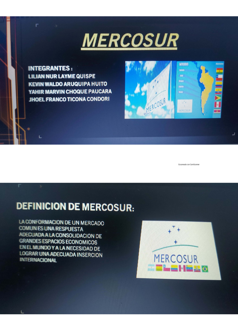 MERCOSUR | PDF
