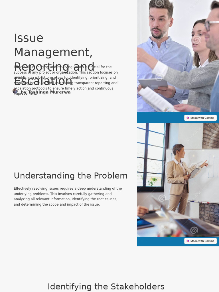 Issue Management Reporting and Escalation | PDF