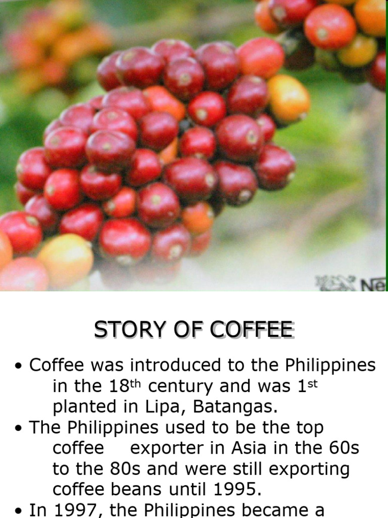 Coffee-Production | PDF
