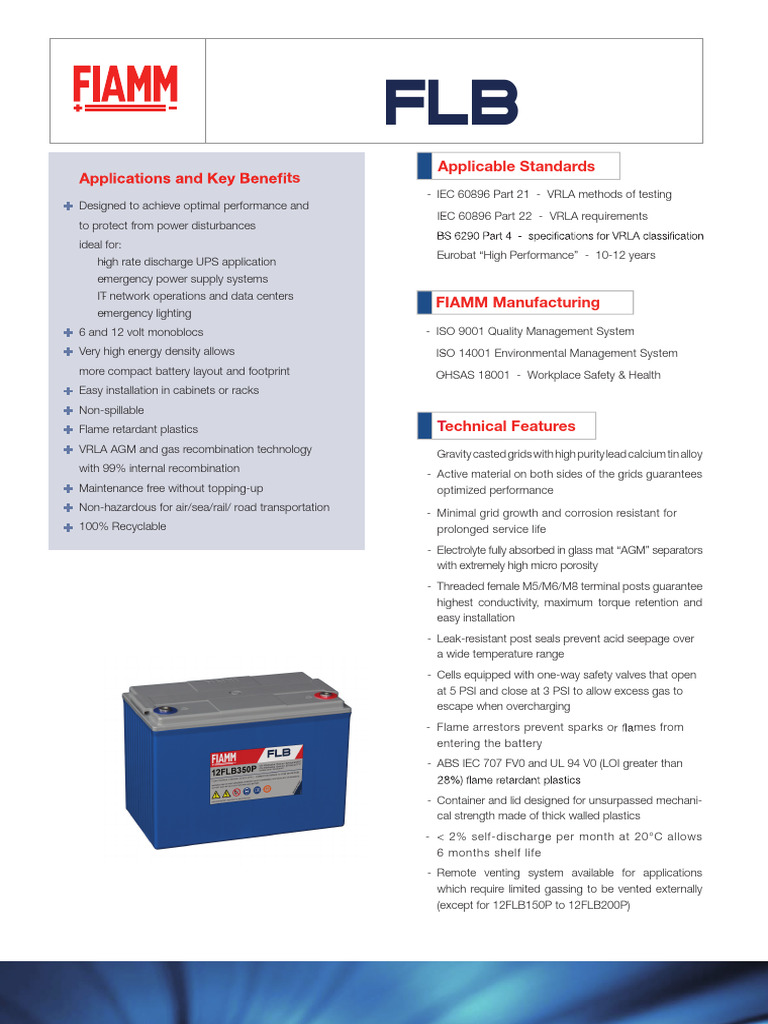 FLBP Brochure CH en | PDF