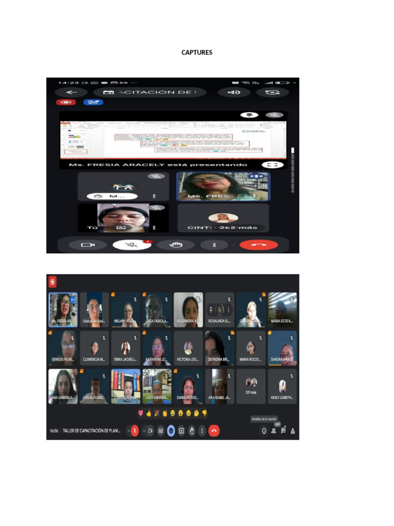 CAPTURES DE LA REUNIÓN | PDF