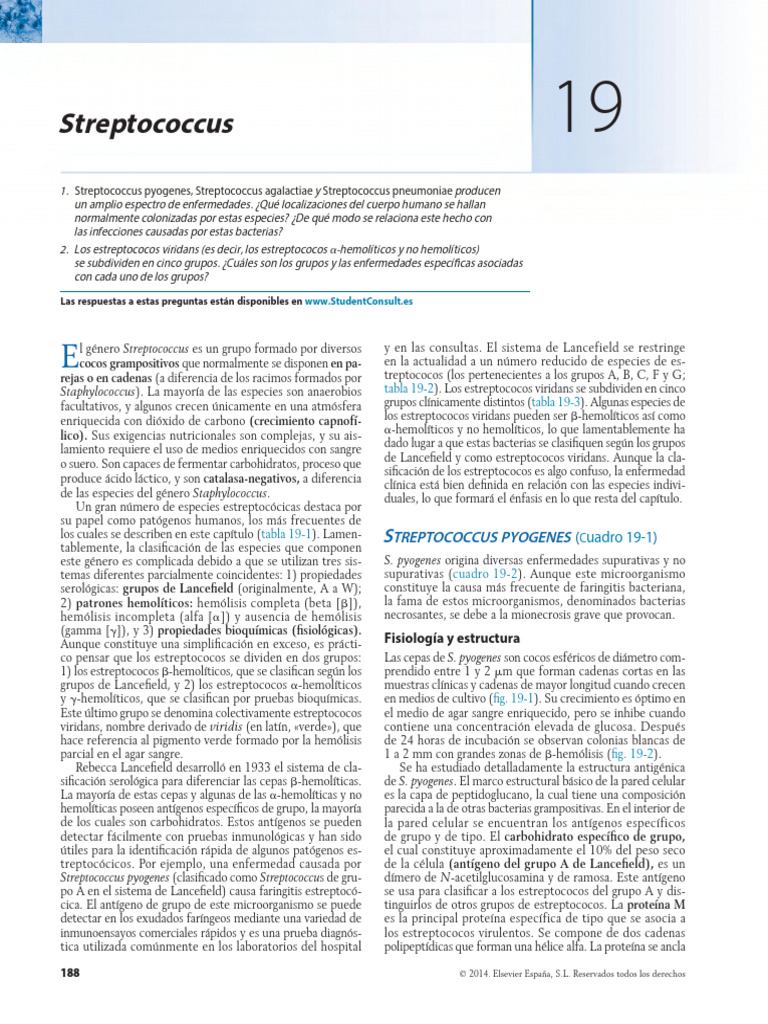 Strptococcus Pyogenes- Murray Cap 19 | PDF