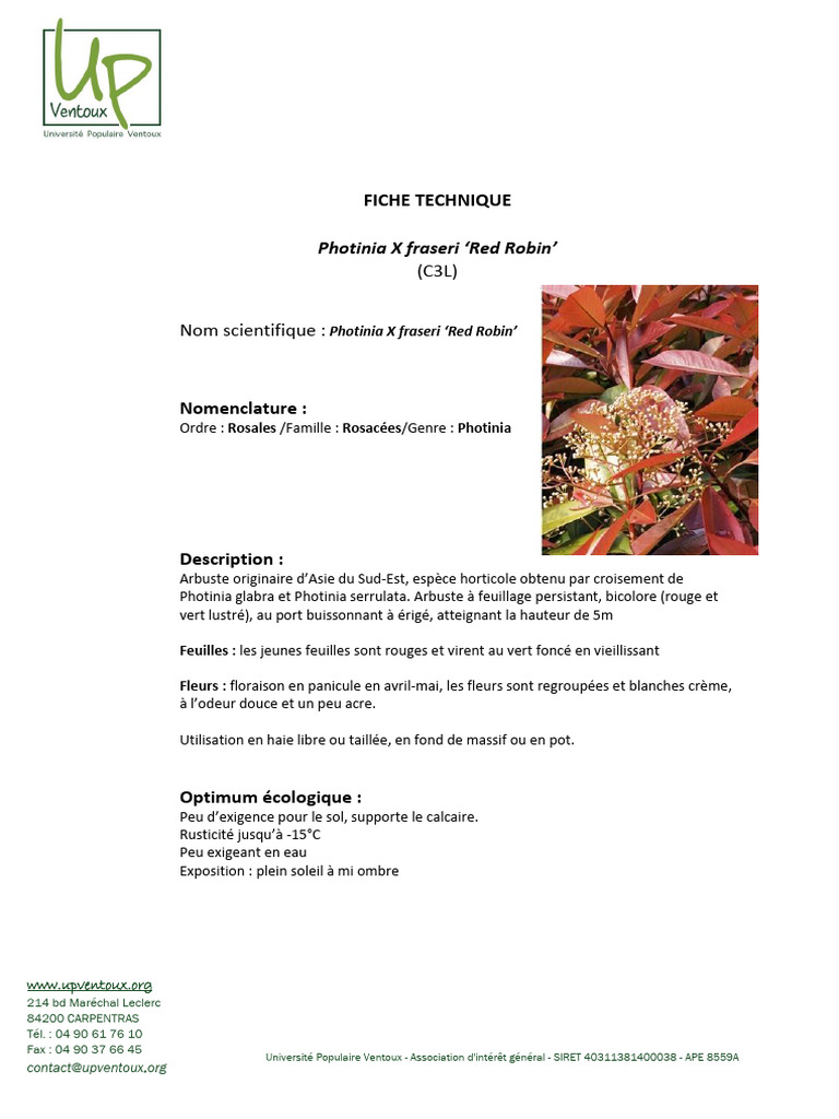 Fiches Techniques Végétaux Photinia | PDF