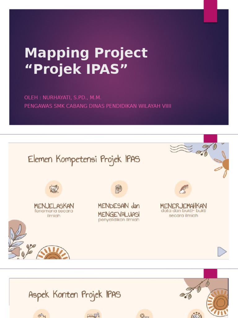 3_Mapping Project IPAS | PDF