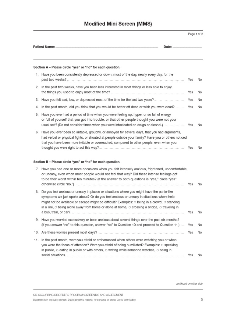 Modified Mini Screen | PDF