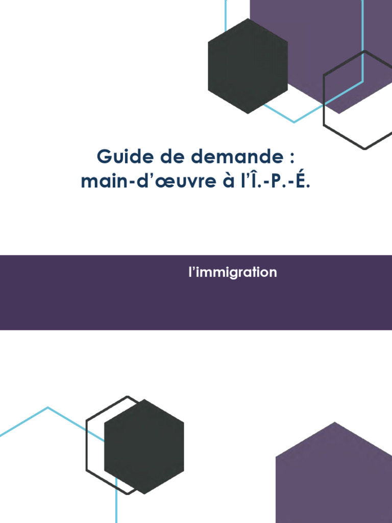 Pei Workforce Application Guide Fre | PDF