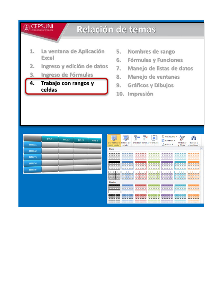 Cap 4 - Trab Con Rangos y Celdas | PDF