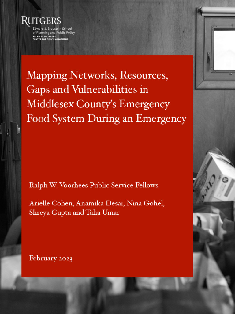 Voorhees Fellows Report 2023 Final RFS | PDF