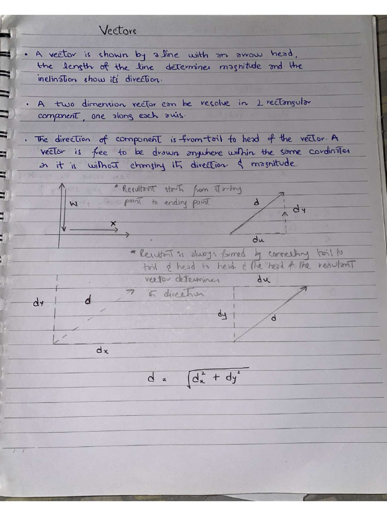 Vectors Pdf