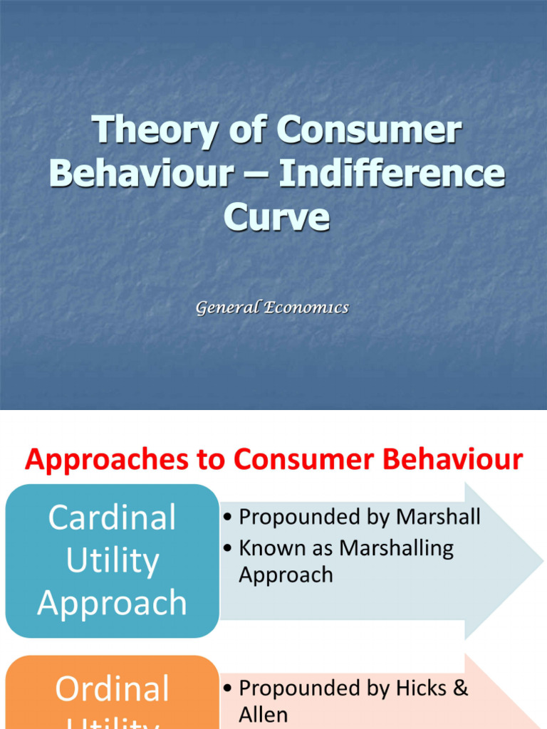 THeory of Consumer Behaviour - Note2 | PDF