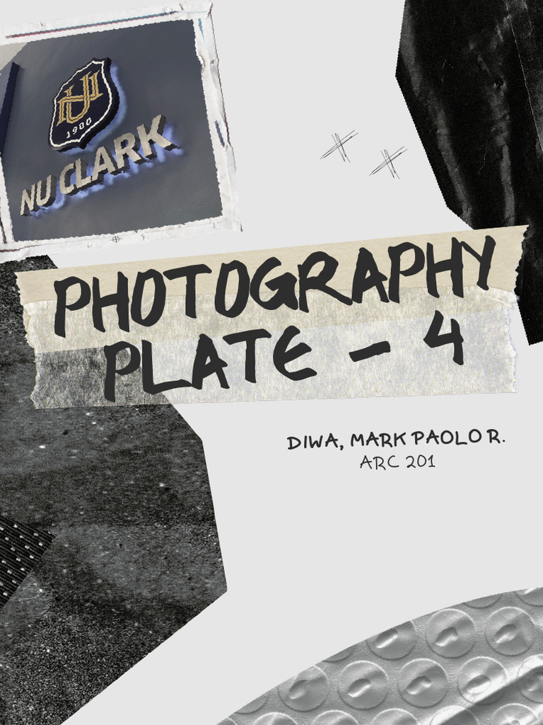 Plate 4 | PDF