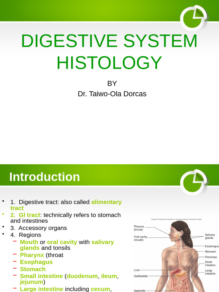 DIGESTIVE SYSTEM HISTOLOGY by Dr. Taiwo-Ola - 072439 | PDF