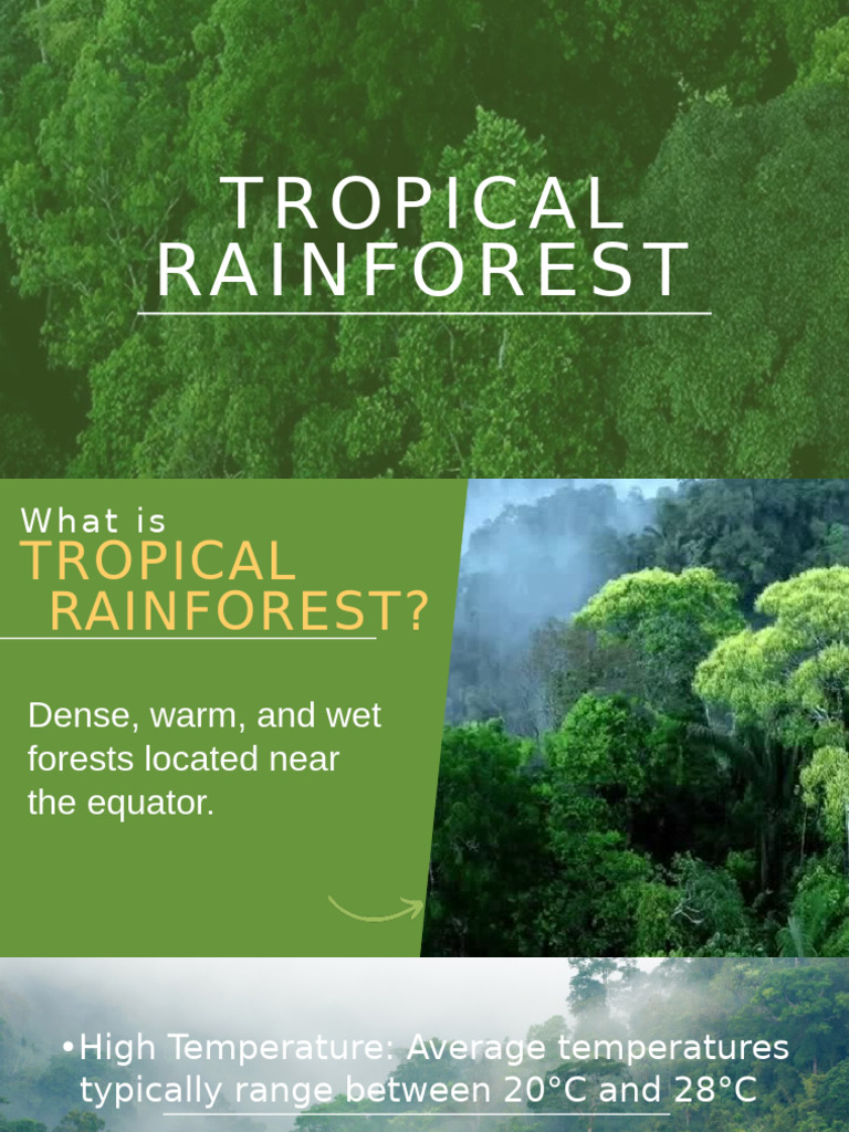 Tropical | PDF