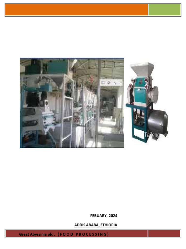 Feasibility Study for Food Complex in Ethiopia | PDF | Flour | Whole Grain