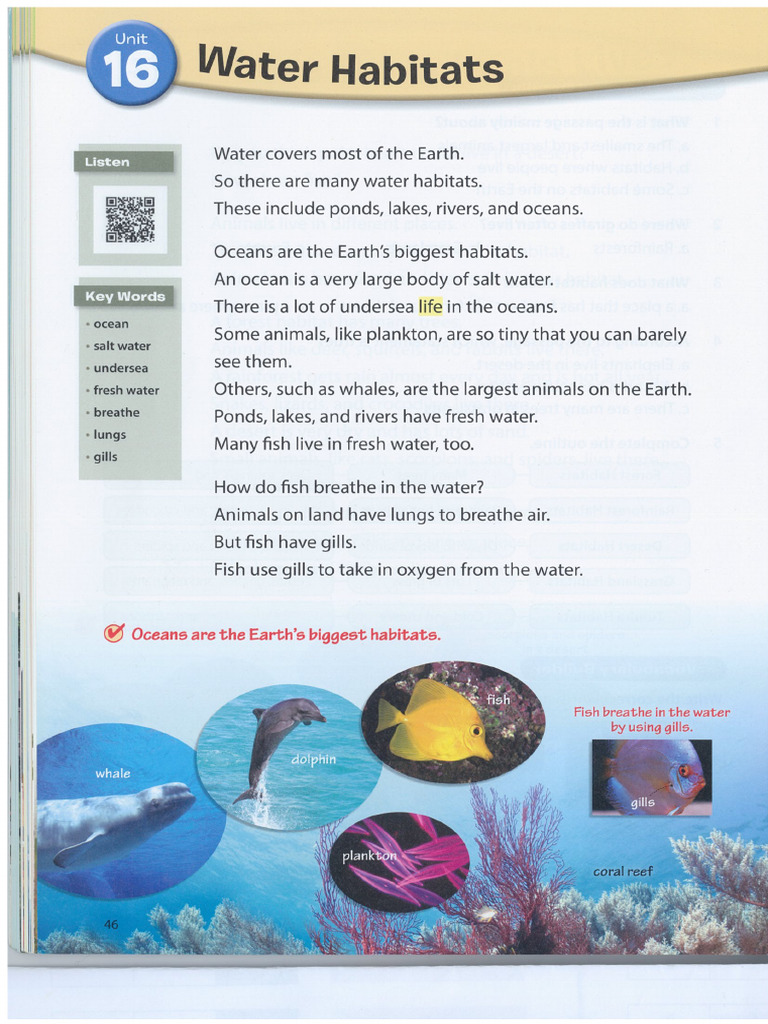 AST EASY 1. Unit 16 | PDF