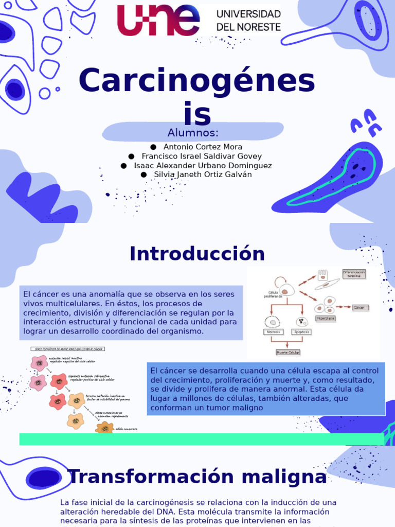 Carcinogénesis | PDF