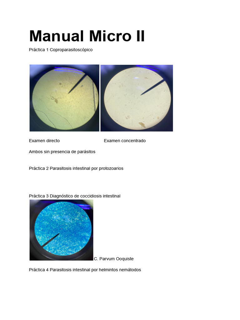 Manual Micro II | PDF