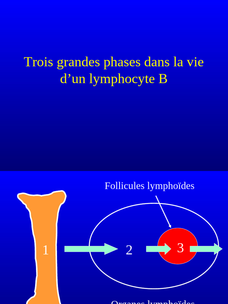 Cours 5 | PDF