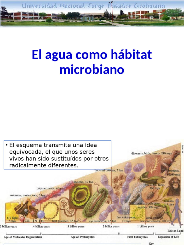 T4 El Agua Como Hábitat Microbiano Marino y Continental | PDF
