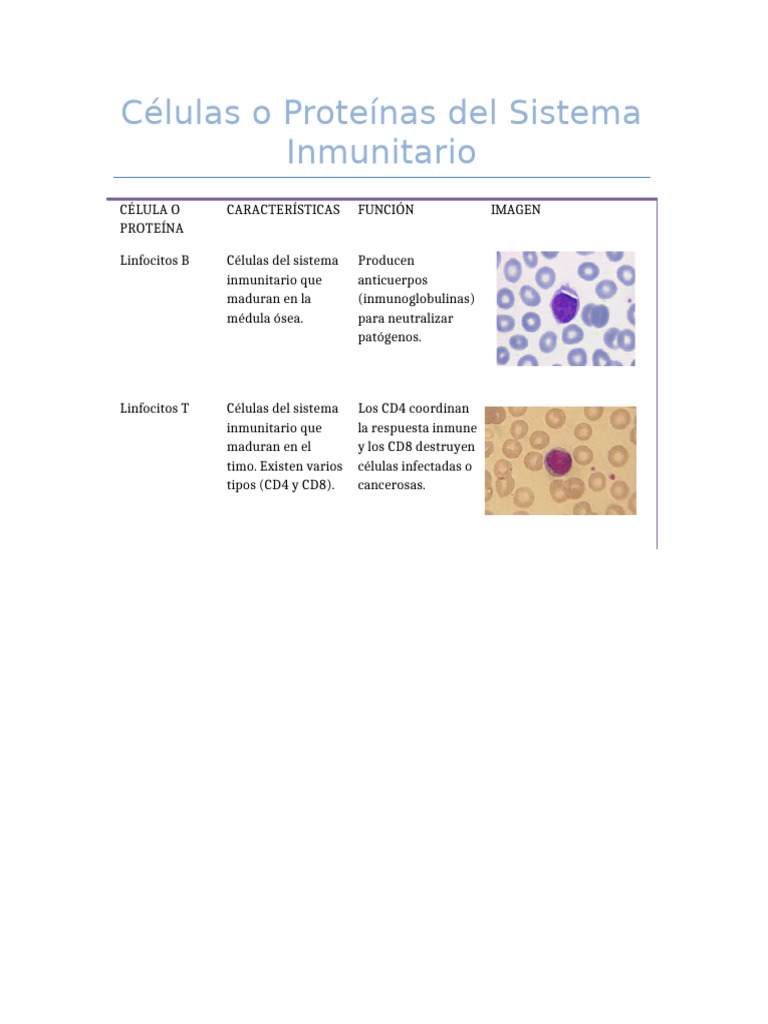 Tabla Celulas Proteinas | PDF