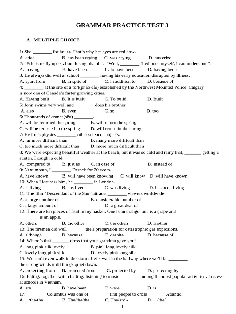 Grammar Practice Test 3 | PDF