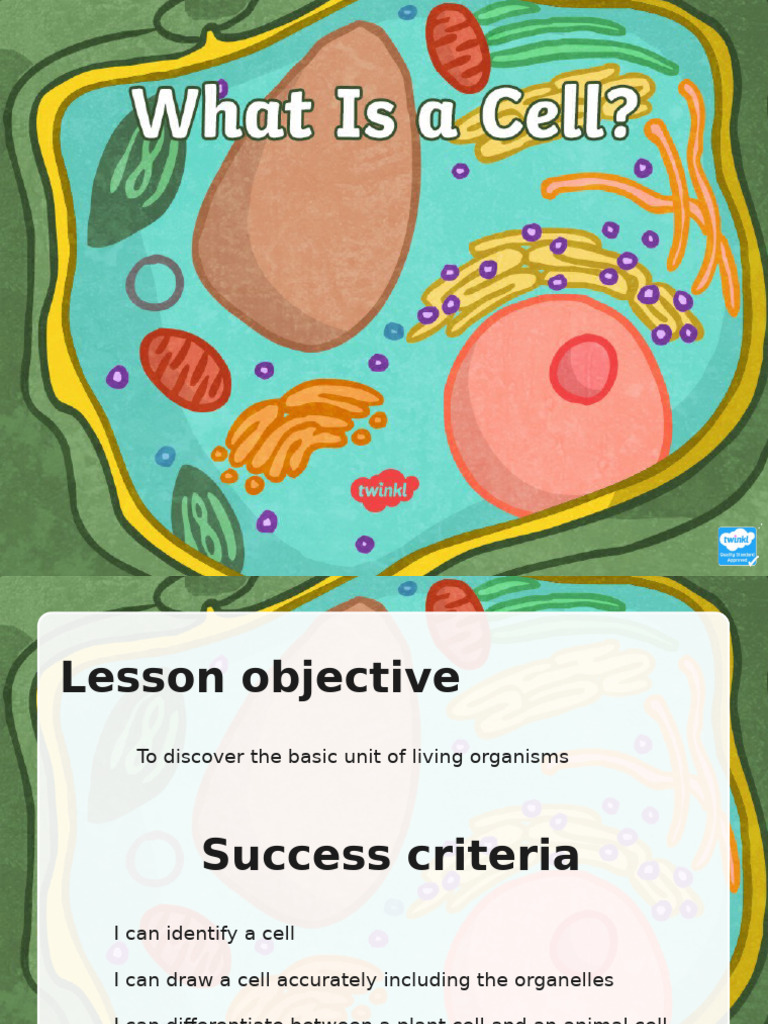 Lesson 1 Cells | PDF