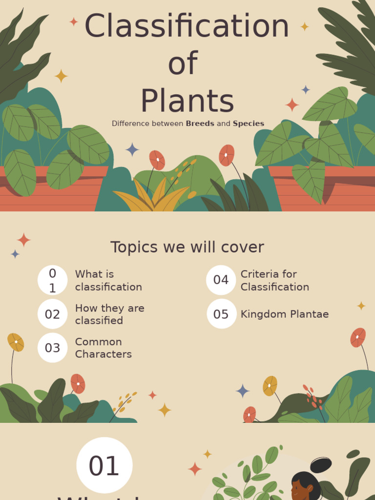 Classification of Plants | PDF