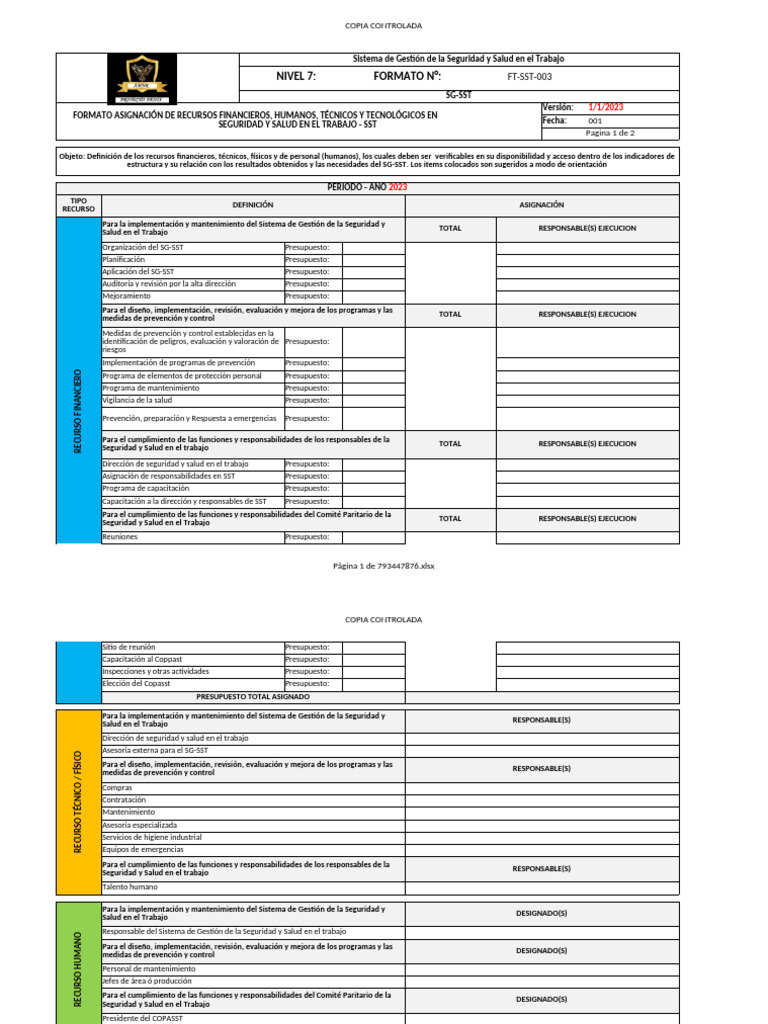 FT-SST-003 Formato Asignación Recursos Financieros, Humanos, Técnicos y Tecnológicos en SST | PDF