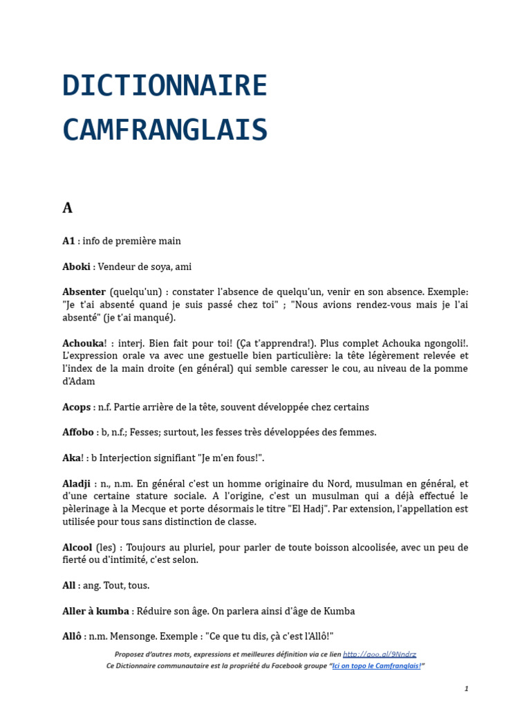 Dictionnaire Camfranglais | PDF
