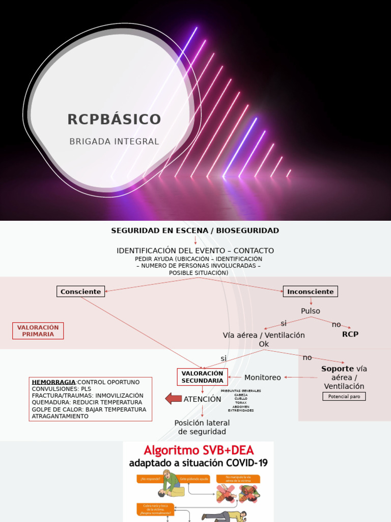 RCP Basico | PDF