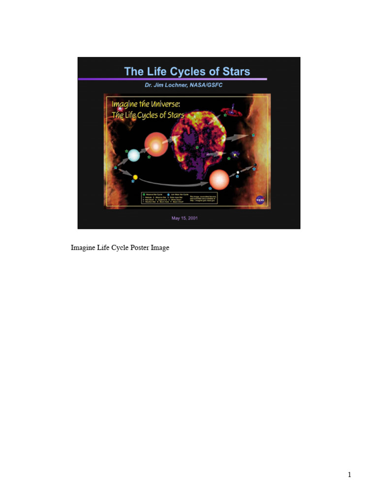 life_cycles_notes | PDF