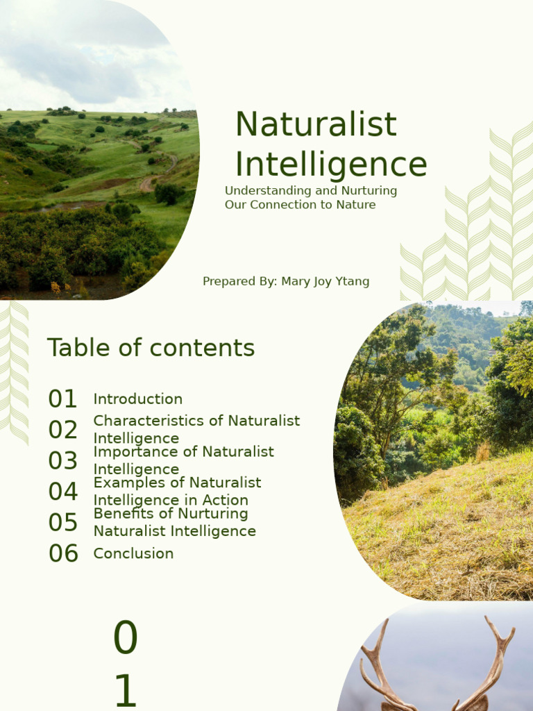 NATURALIST | PDF