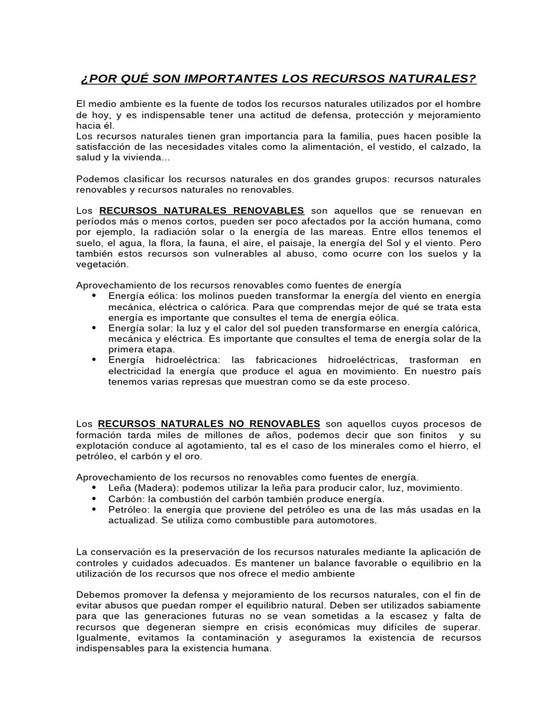 Por Qué Son Importantes Los Recursos Naturales | PDF | Energía ...