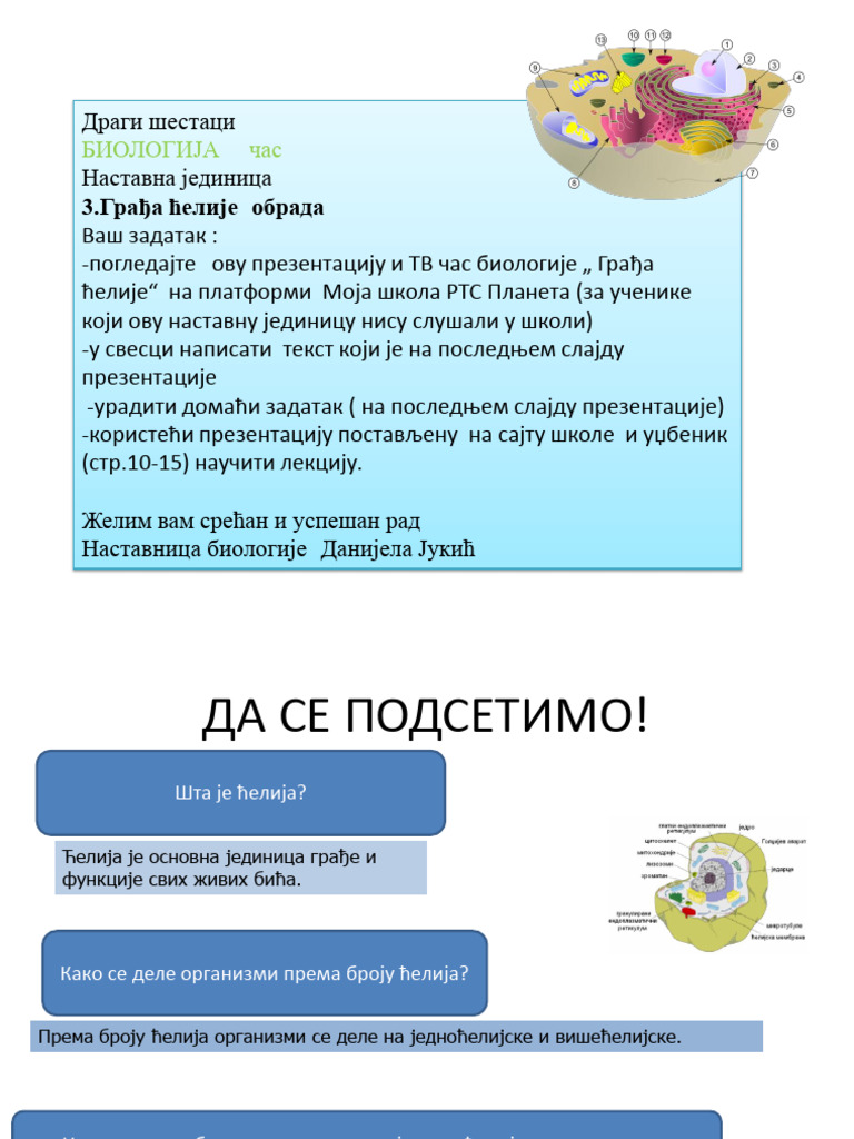 2bio6GRADJA CELIJE | PDF