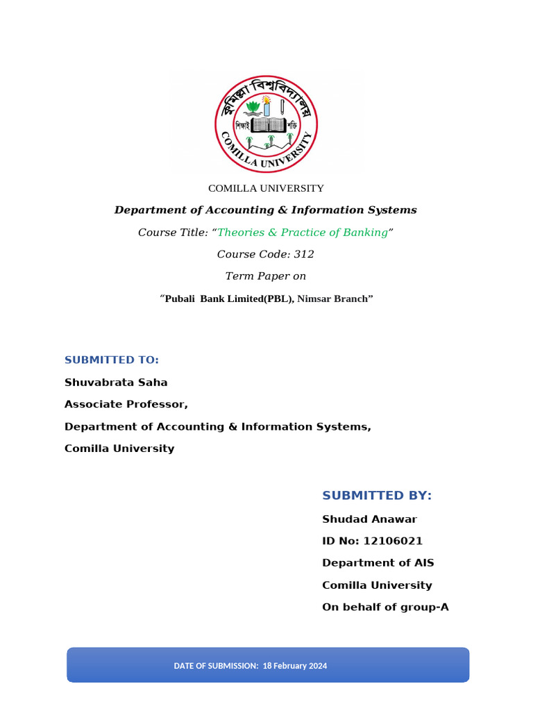 Banking Term Paper-1 | PDF