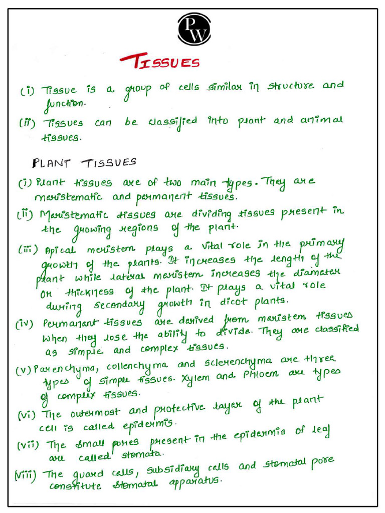 Tissues _ Handwritten Notes | PDF