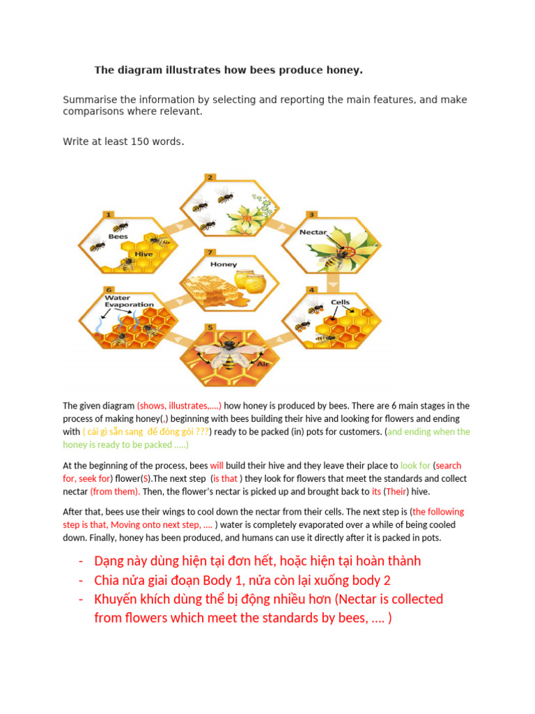 The diagram illustrates how bees produce honey | PDF
