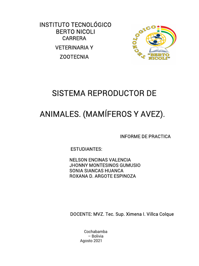 Formato Presentacion de Informes | PDF