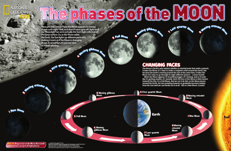 The Phases of The Moon Primary Resource | PDF | Moon | Astronomical Objects
